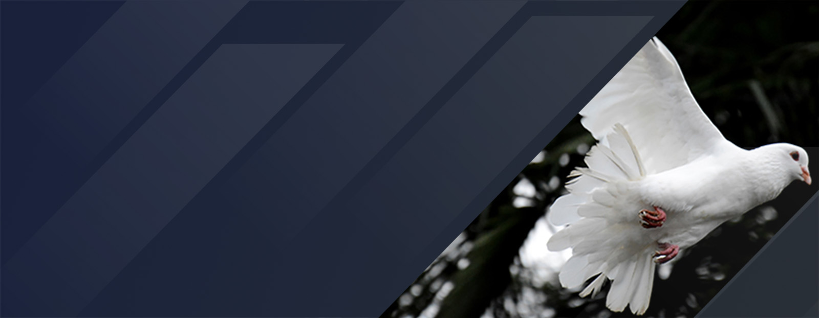 Peaceful Solutions - The IHS